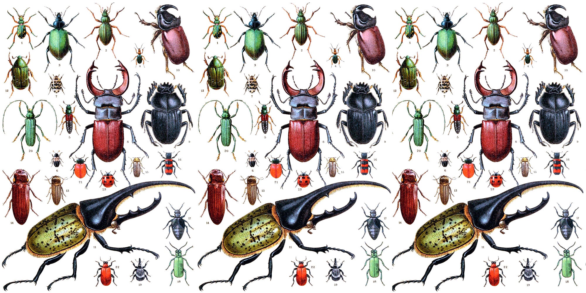 Alessandro Manfredini – Captain Fawcett Limited